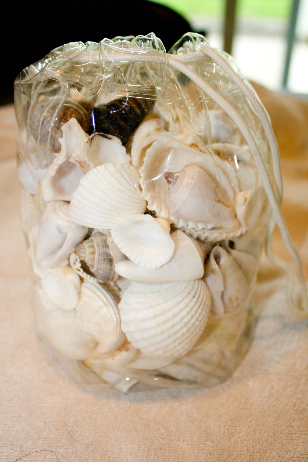 Bag Of White Assorted Seashells on Luulla
